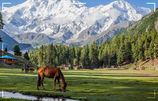5 Amazing Places To Visit In Northern Areas Of Pakistan | Tour To Pakistan